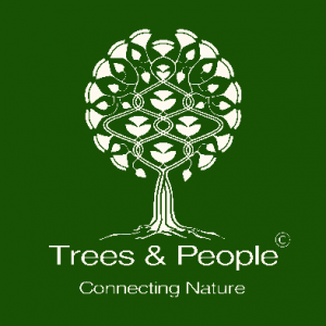 Trees & People – Une histoire de cohabitation